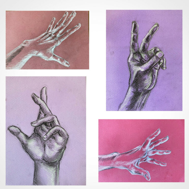 Portfolio Prep at Ringling College | Art Portfolio Examples