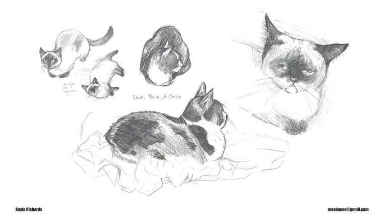 Portfolio Prep at Ringling College | Art Portfolio Examples