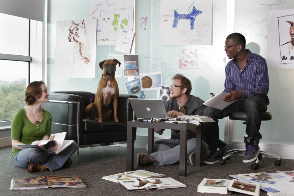 About Us - Ringling College of Art and Design