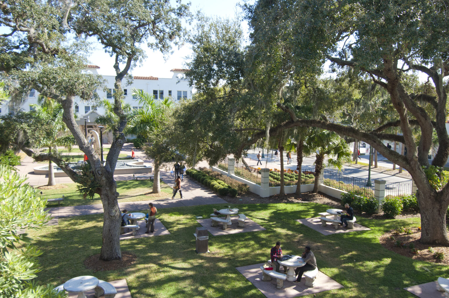 Activities and Leadership - Ringling College of Art and Design